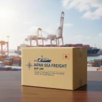 China Japan Sea Freight DDP Shipping with Double Clearance Tax-Included Door-to-Door Service for sale
