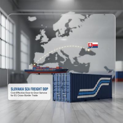 China Optional Cargo Insurance International Freight Forwarder Global Network Providing Shipping Solutions for Worldwide Cargo Transport for sale
