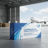 China Documentation Handling International Freight Forward Supporting Depends On Route And Mode Transit Time Varies for sale
