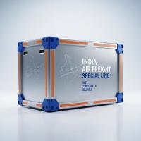 China India Air Freight Special Line with Fast Timeliness, Compliant Clearance & Real-time Tracking for International Freight Forwarding for sale