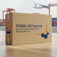 China Efficient International Freight Forwarding with Door-to-Door Delivery and 3-5 Working Days Express Service Featuring Real-Time Tracking for sale
