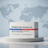 China DYCARGO FedEx Germany Line International Freight Forwarding with Door-to-Door Delivery Real-time Tracking and 24/7 Multilingual Support for sale