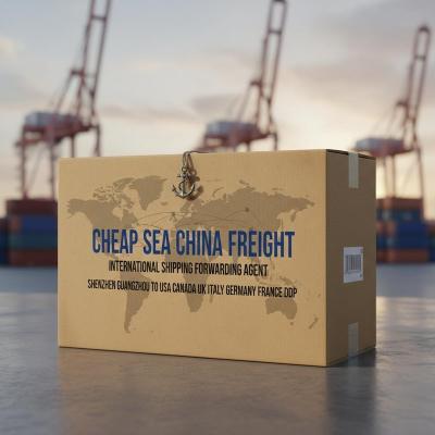 China Professional Freight Forwarding and International Shipping with DDP Shipping, Door-to-Door Service, and Double Clearance for sale