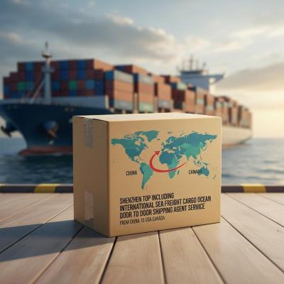 China Professional International Freight Forwarding with Door-to-Door Service, Double Clearance, and Tax-Included DDP Shipping for sale