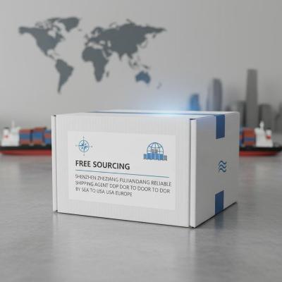 China Professional Freight Forwarding and Logistics Services with Door-to-Door DDP Shipping and Double Clearance for sale