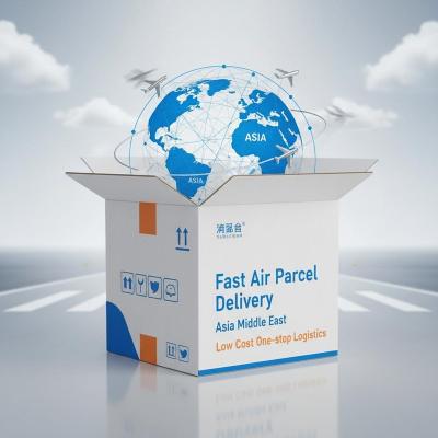 China Fast Air Parcel Delivery to Asia Middle East Low Cost One-stop Logistics for sale