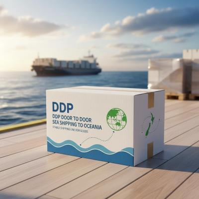 China DDP Door To Door Sea Shipping To Oceania Stable Shipping Line For Goods for sale