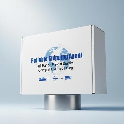 China Reliable Shipping Agent Full Range Freight Service For Import And Export Cargo for sale
