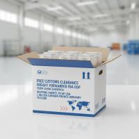 China Professional Freight Forwarder with Door-to-Door Service Double Clearance and Tax-Included DDP Shipping for sale
