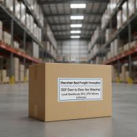 China Professional Freight Forwarder with Door-to-Door DDP Shipping Double Clearance and Tax-Included Logistics Services for sale