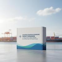 China Professional Freight Forwarder and Shipping Agent Offering Door-to-Door FCL Service for Sea Shipping to USA for sale