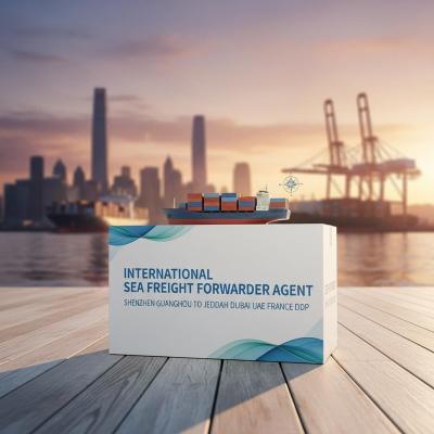 China International Freight Forwarder Shipping Agent with Door-to-Door DDP Shipping and Double Clearance Logistics Services for sale