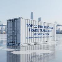 China Professional International Freight Forwarder with Door-to-Door Service, Double Clearance, and Tax-Included DDP Shipping for sale