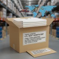 China Professional Door-to-Door DDP Shipping with Fast Transit Global Logistics Service for sale