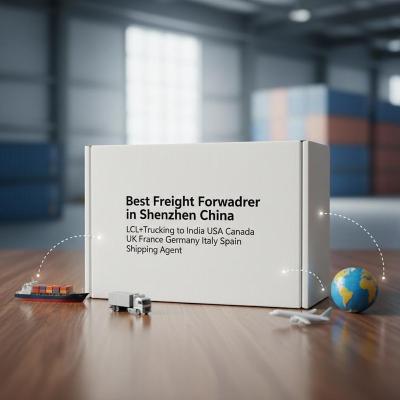 China Professional Freight Forwarder with Door-to-Door Service Double Clearance and Tax-Included DDP Shipping for sale
