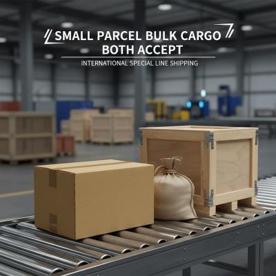 China Small Parcel Bulk Cargo Both Accept International Special Line Shipping for sale