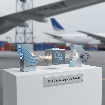 China Full Chain Logistics Service First Mile Customs Clearance Last Mile Delivery for sale