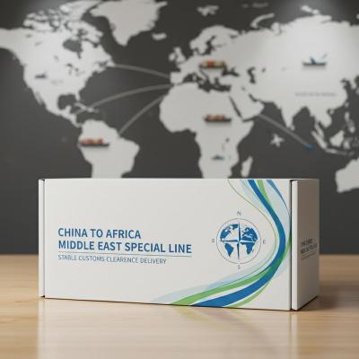 China China to Africa Middle East Special Line Stable Customs Clearance Delivery for sale