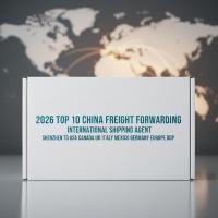 China Professional Freight Forwarding and International Shipping with DDP Shipping, Door-to-Door Service, and Double Clearance for sale