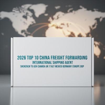 China Professional Freight Forwarding and International Shipping with DDP Shipping, Door-to-Door Service, and Double Clearance for sale
