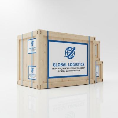 China Professional International Freight Forwarding with DDP Shipping and Door-to-Door Service for Global Coverage for sale