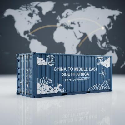 China China To Middle East South Africa Sea Air Shipping Agent for sale