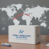 China China to Middle East UAE Saudi Qatar stable DDP logistics forwarder for sale