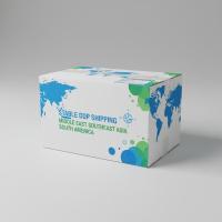 China Stable DDP Shipping To Middle East Southeast Asia South America for sale