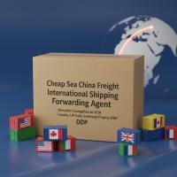 China Professional Freight Forwarding and Shipping Agent Offering DDP Shipping with Door-to-Door Service and Double Clearance for sale
