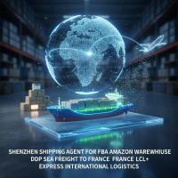 China FBA Shipping Agent for DDP Sea Freight and LCL Shipping with Express Delivery to France for sale