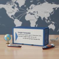 China Freight Forwarder International Logistics Agent with Door-to-Door Service Double Clearance and Tax-Included DDP Shipping for sale