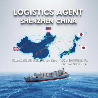 China Professional Logistics Agent in Shenzhen Offering Door-to-Door Service with Double Clearance and Tax-Included DDP Shipping for sale
