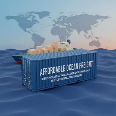 China Affordable Ocean Freight and International Shipping for Smaller Cargo Loads with Global Service Coverage for sale