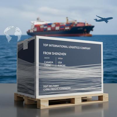 China Professional International Freight Forwarder with DDP Delivery and Global Service Coverage for Fast Transit Times for sale