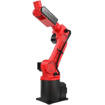 China General Small Pick Up Robot 5KG Loading Flexible 6 Axis for sale