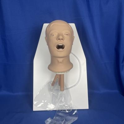 China Kingpo Brand Plastic Material Simulated Patient Head with ISO 9360-2-figure 1 Standard and 1 Year Warranty for sale