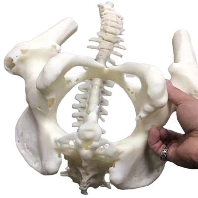 China Custom ABS 3D Printing Service – Mass-Production OEM & Rapid Prototyping for sale