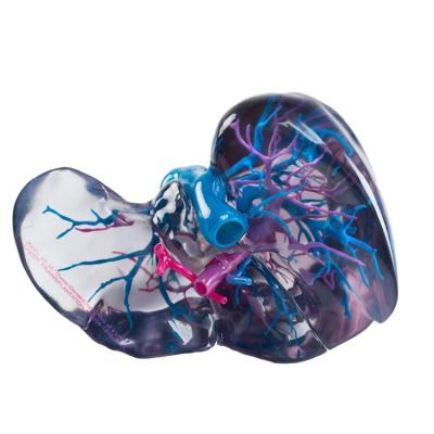 China RESIN Material Full Color 3D Printing | PolyJet for Medical Prototype STL Files for sale
