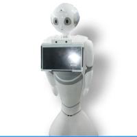 China Smart Robot Model SLA 3D Printing Resin TPU Control 100% Inspection Professional for sale