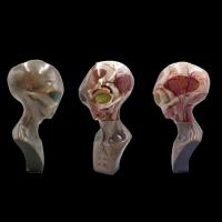 China High Resolution Multicolor 3D Printing Service | Medical Applications with SLM Process for sale