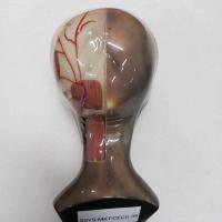 China Plastic RESIN Multi Color 3d Printing Service Integrated Coating Surface for sale