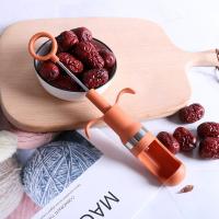 China SS304 Kitchen Gadget Tools Date Pitting Machine Hawthorn Rock Sugar Gourd Magic Utensils for sale