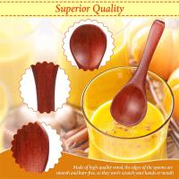 China Natural Wooden Mini Tasting Spoons 30 Pack Eco Friendly Bamboo Kitchen Utensils for sale