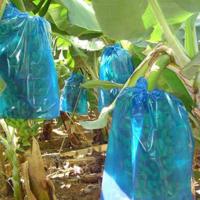 China Heat Seal Plastic Blue PE Bag For Banana Bunch Covers 20-200microns for sale