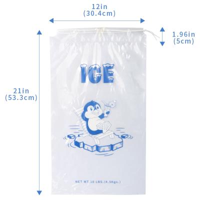 China Reusable Eco Friendly LDPE Ziplock Ice Bags with Drawstring Closure for sale