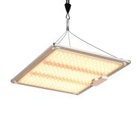 China 100W Full Spectrum LED Grow Light with 660nm Red Light for Flowering and Fruiting Plant Lamp for sale
