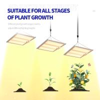 China 100W Full Spectrum LED Grow Light with 660nm Red Light for Flowering and Fruiting Plant Lamp for sale