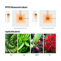 China 100W Full Spectrum LED Grow Light with 660nm Red Light for Flowering and Fruiting Plant Lamp for sale