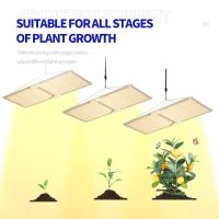 China 200W Full Spectrum Dimmable LED Grow Light T5 Greenhouse Lighting System for Plant Growth for sale