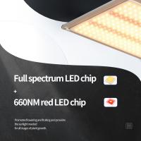 China 200W Full Spectrum Dimmable LED Grow Light T5 Greenhouse Lighting System for Plant Growth for sale